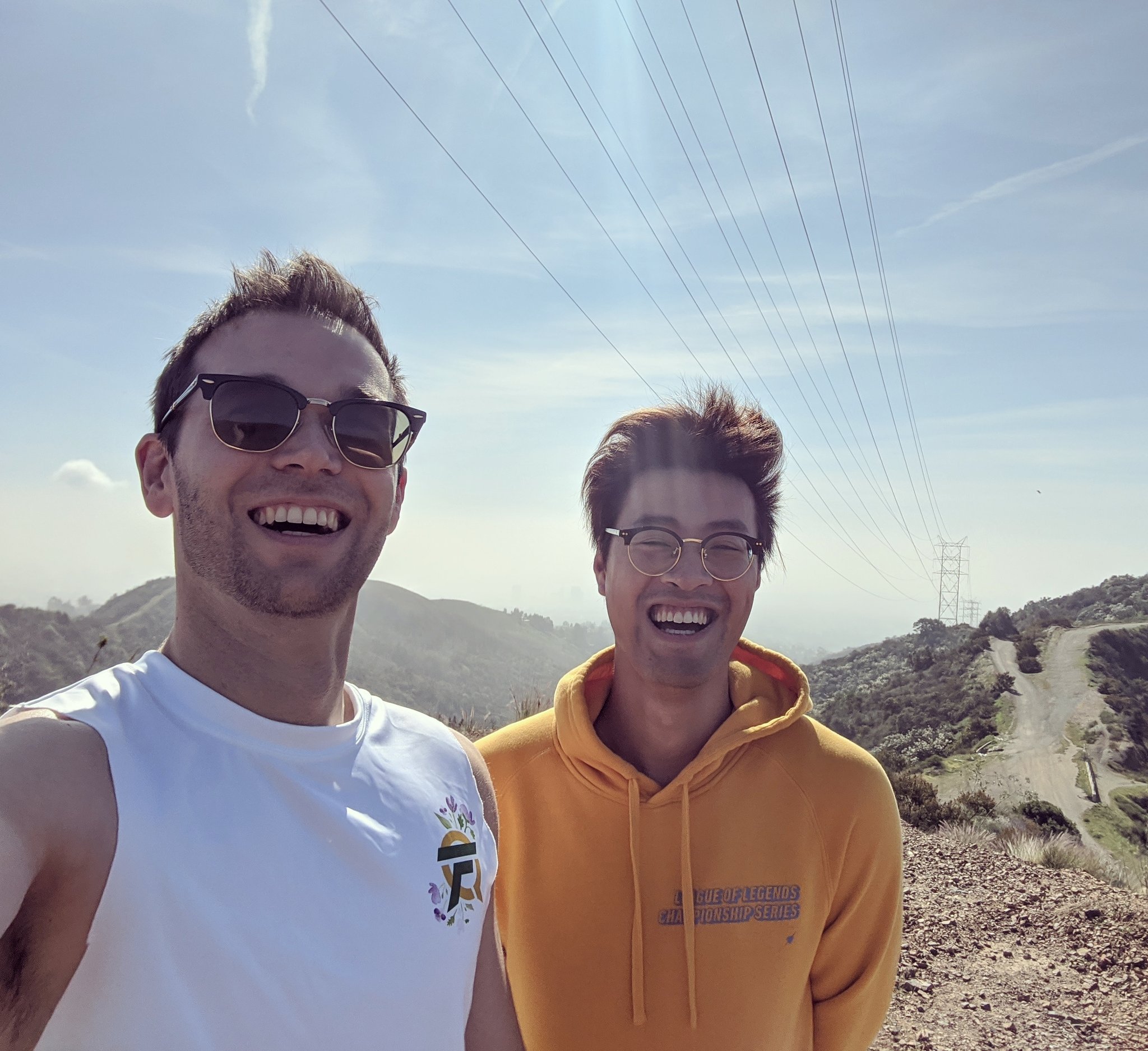 Wildturtle Troll Face