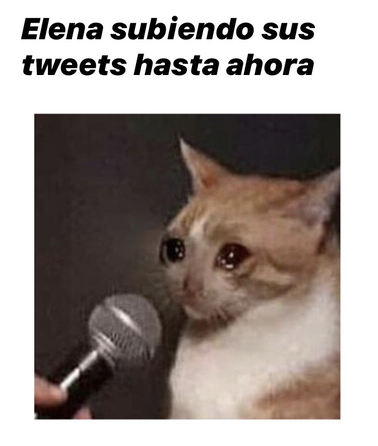 Memes De Gatito Llorando Meme Gato Llorando / Pegatina Laminada Etsy