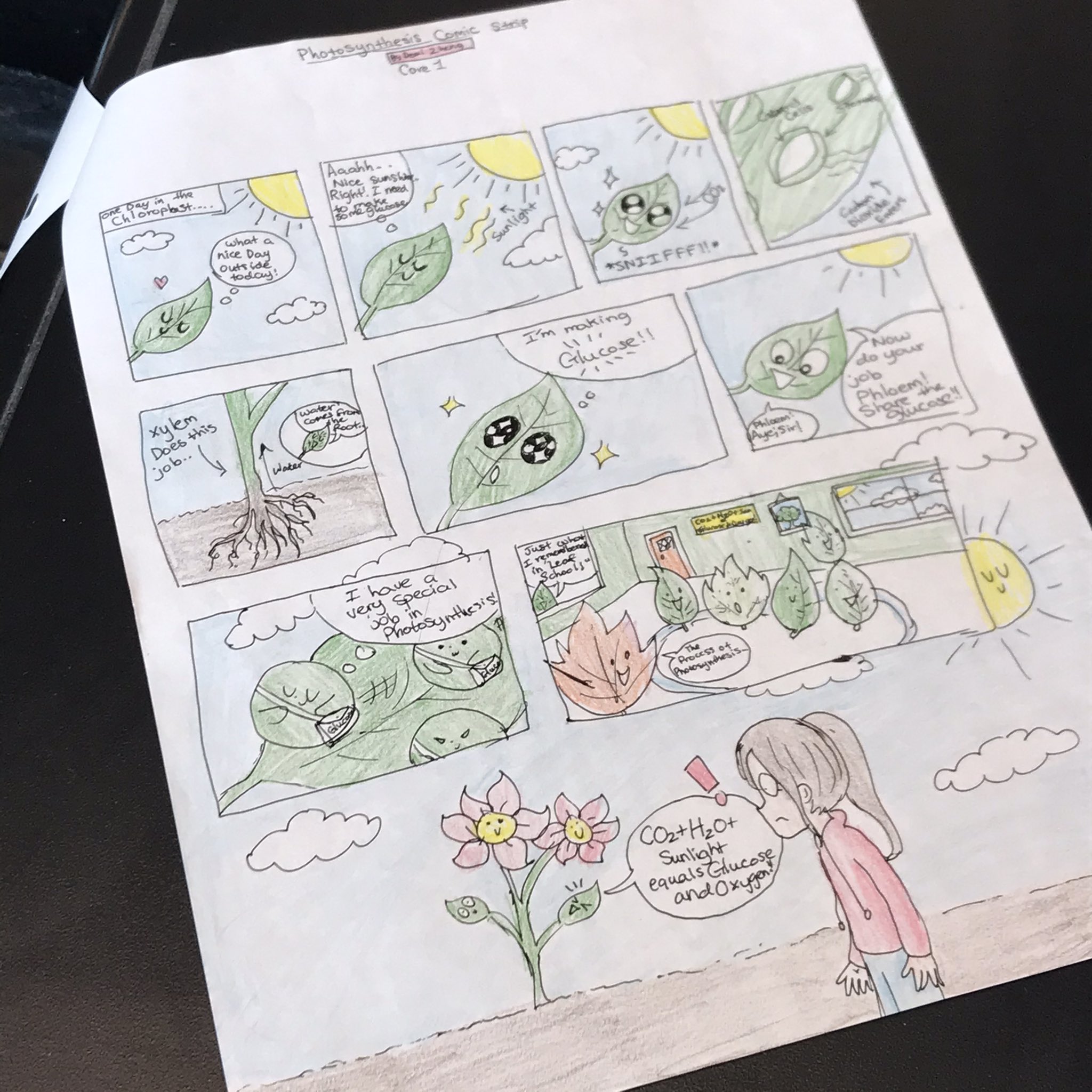 Photosynthesis Cartoon Strip
