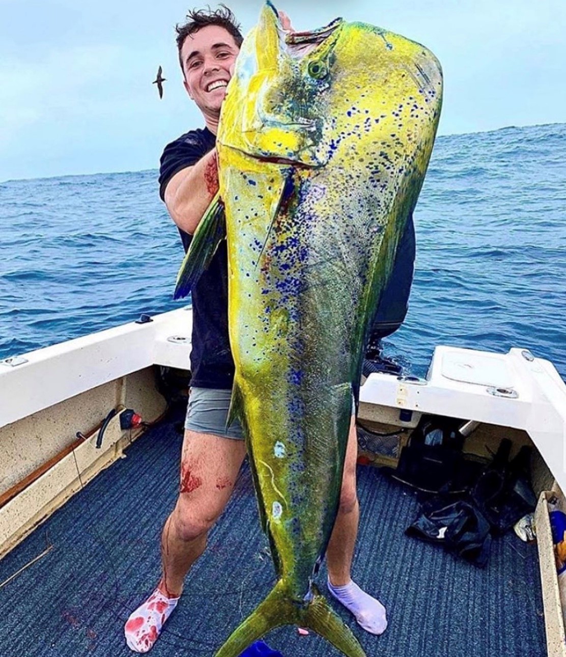 Largest Fish Ever Caught