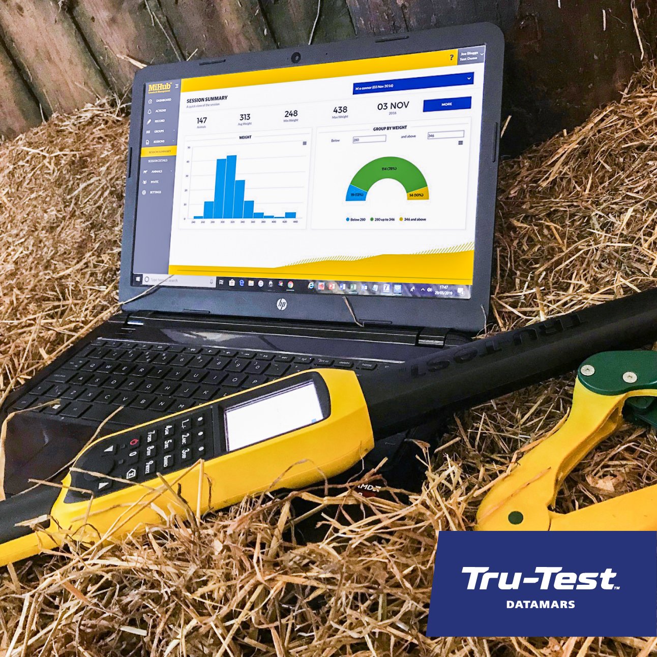 Datamars Livestock UK on Twitter: "Make informed decisions this year based on data. Try out Tru ...