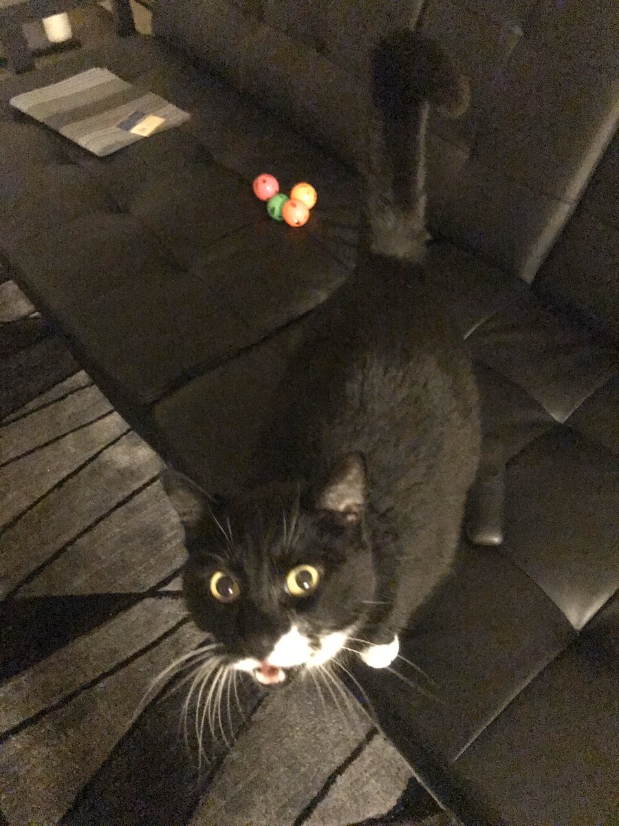 Derek (@derekprieur_) | Twitter