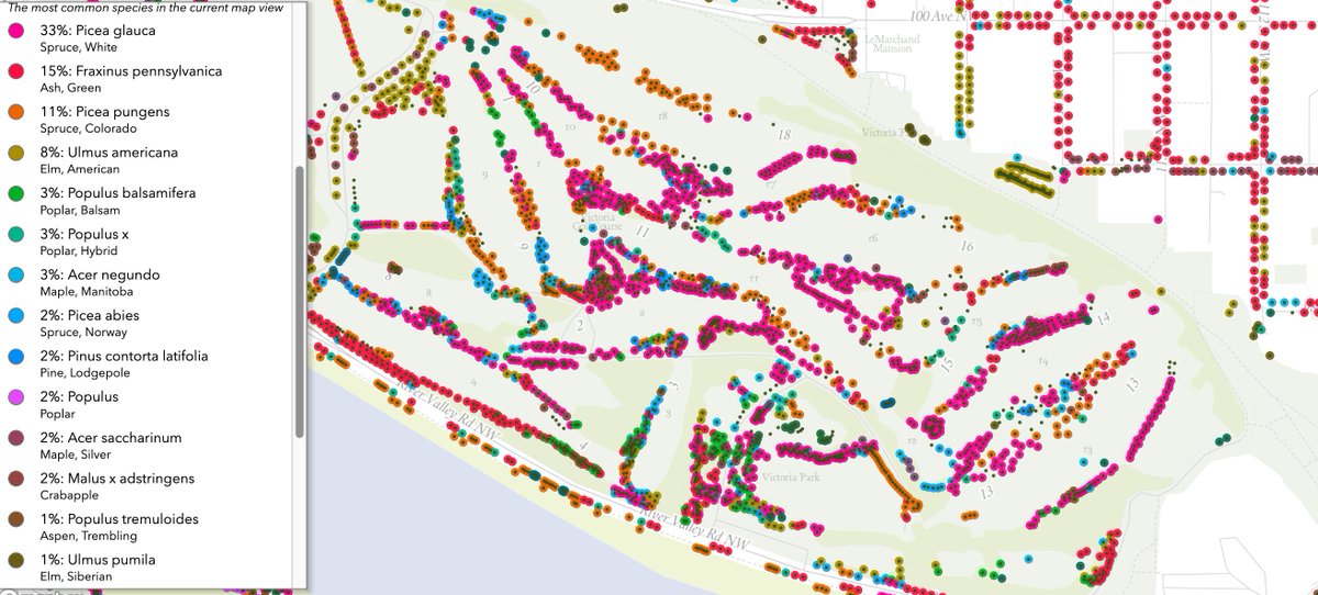 Thread by @stevage1: A thread about creating a new opentrees.org colouring scheme for tree ...