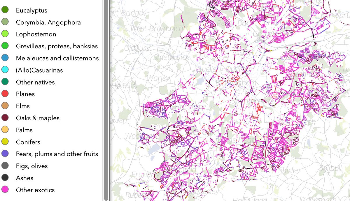 Thread by @stevage1: A thread about creating a new opentrees.org colouring scheme for tree ...
