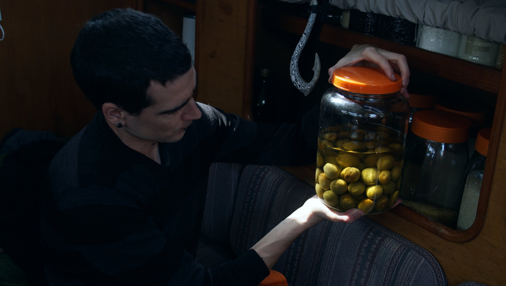 Devine Lu Linvega on Twitter: "We brewed some umeshu last year, it has since gained this ...