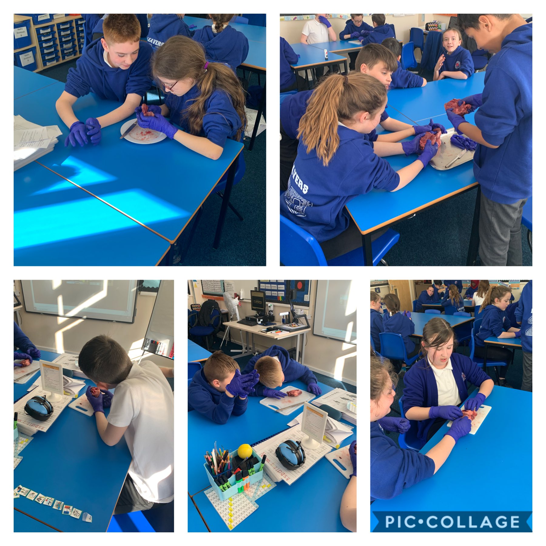 English | Mountbatten Primary School - Hull