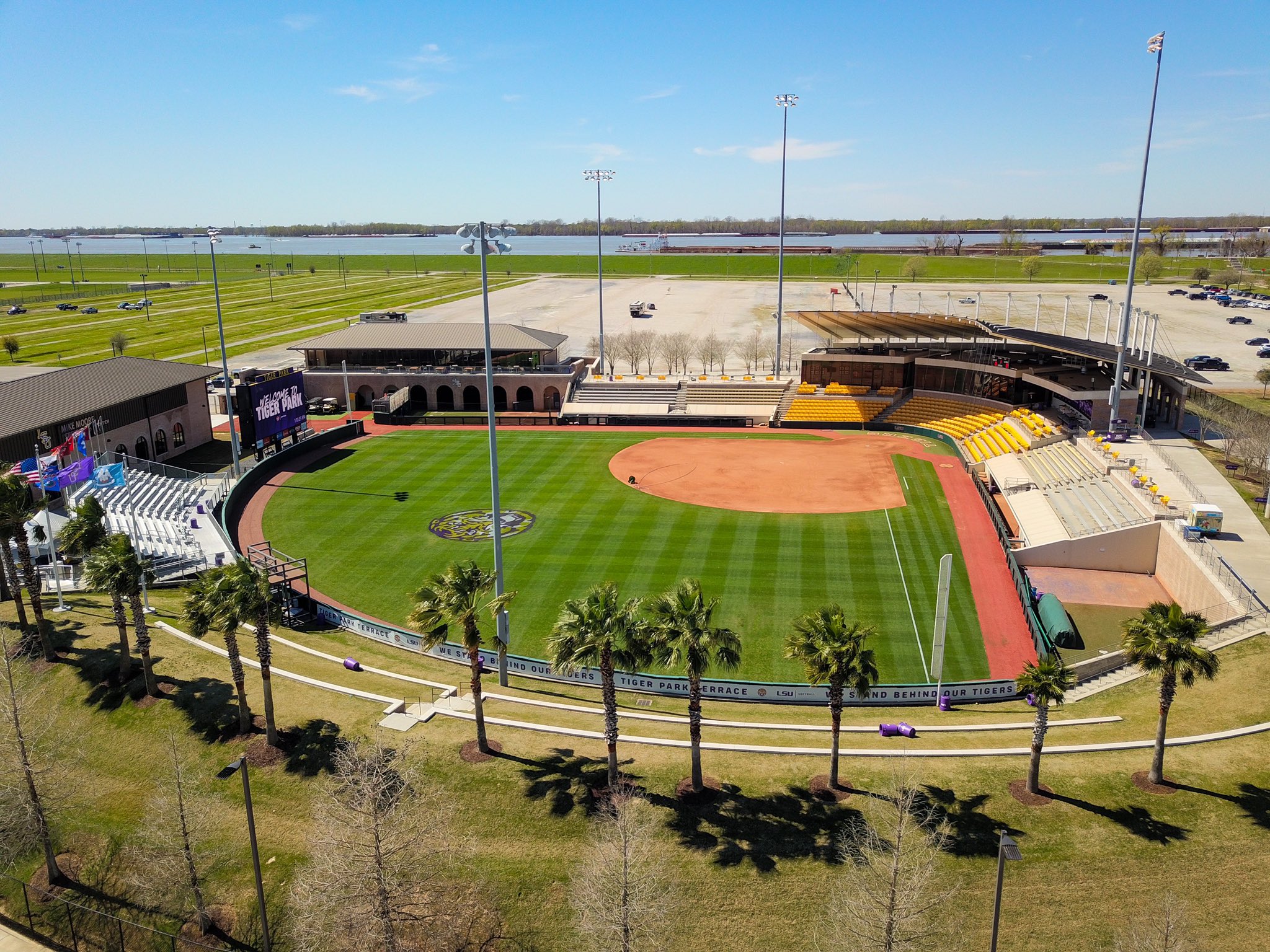 Lsu Softball Number 10