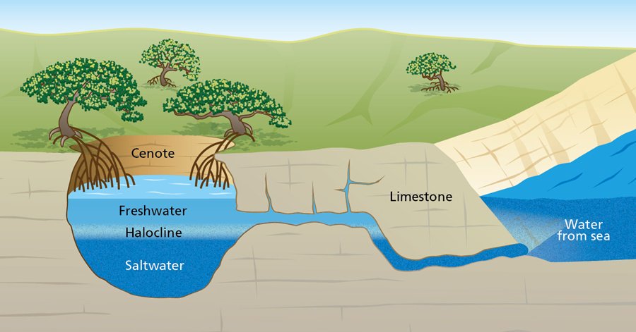 Sea Caves Diagram