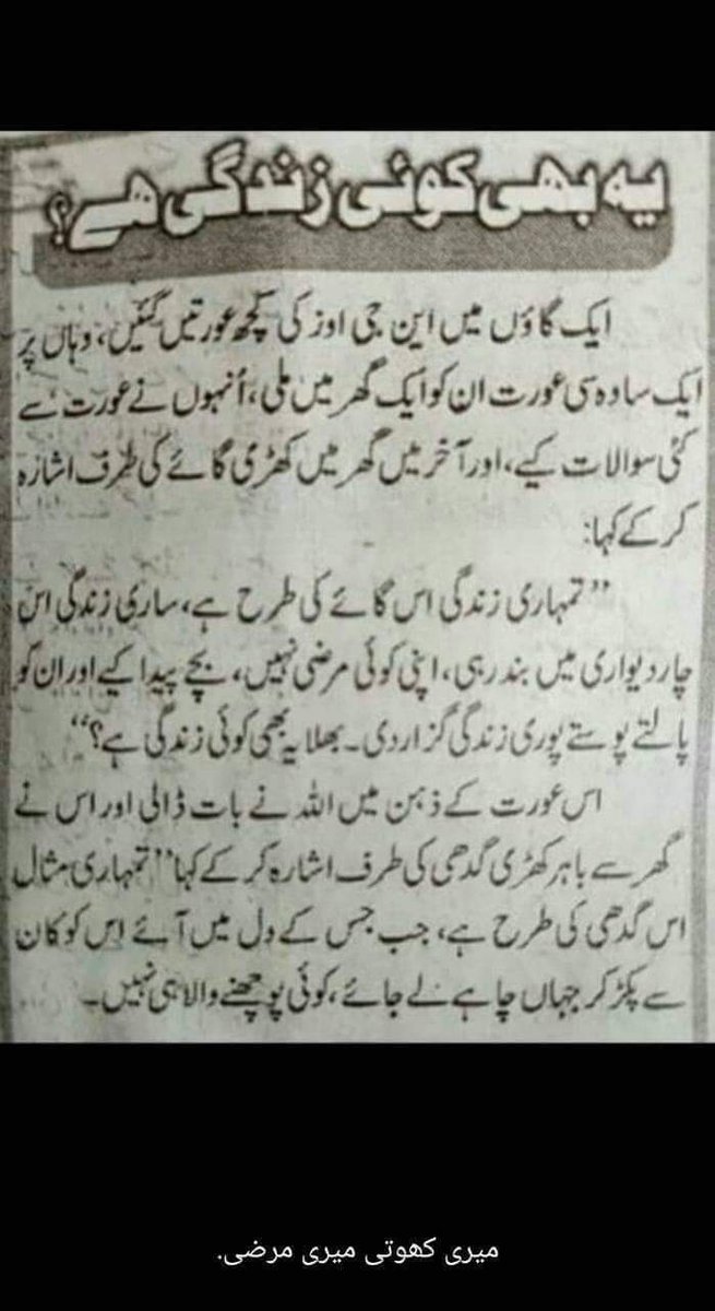 Zohaib Rajput (@Markhors_Here) | Twitter