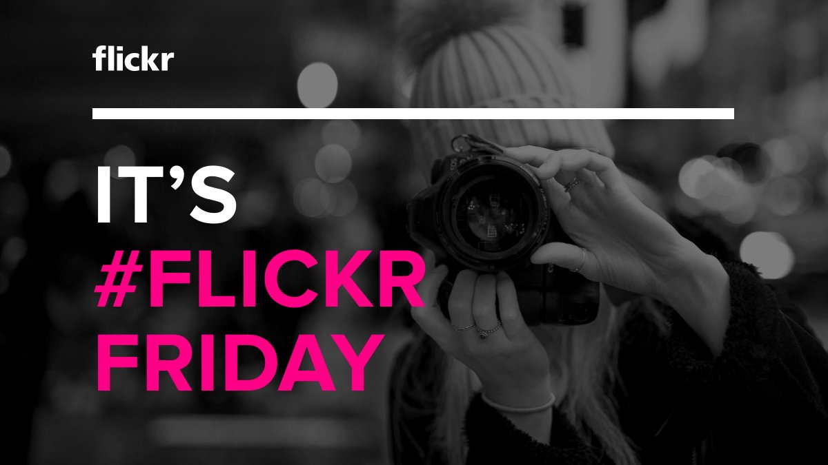 Flickr @Flickr Timeline, The Visualized Twitter (Analytics)