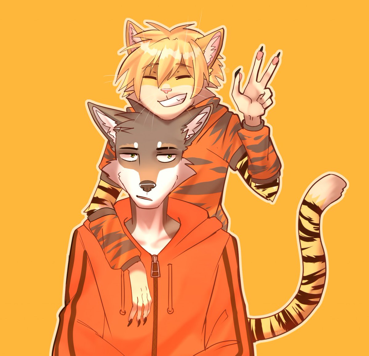 Wolf And Cat Furries