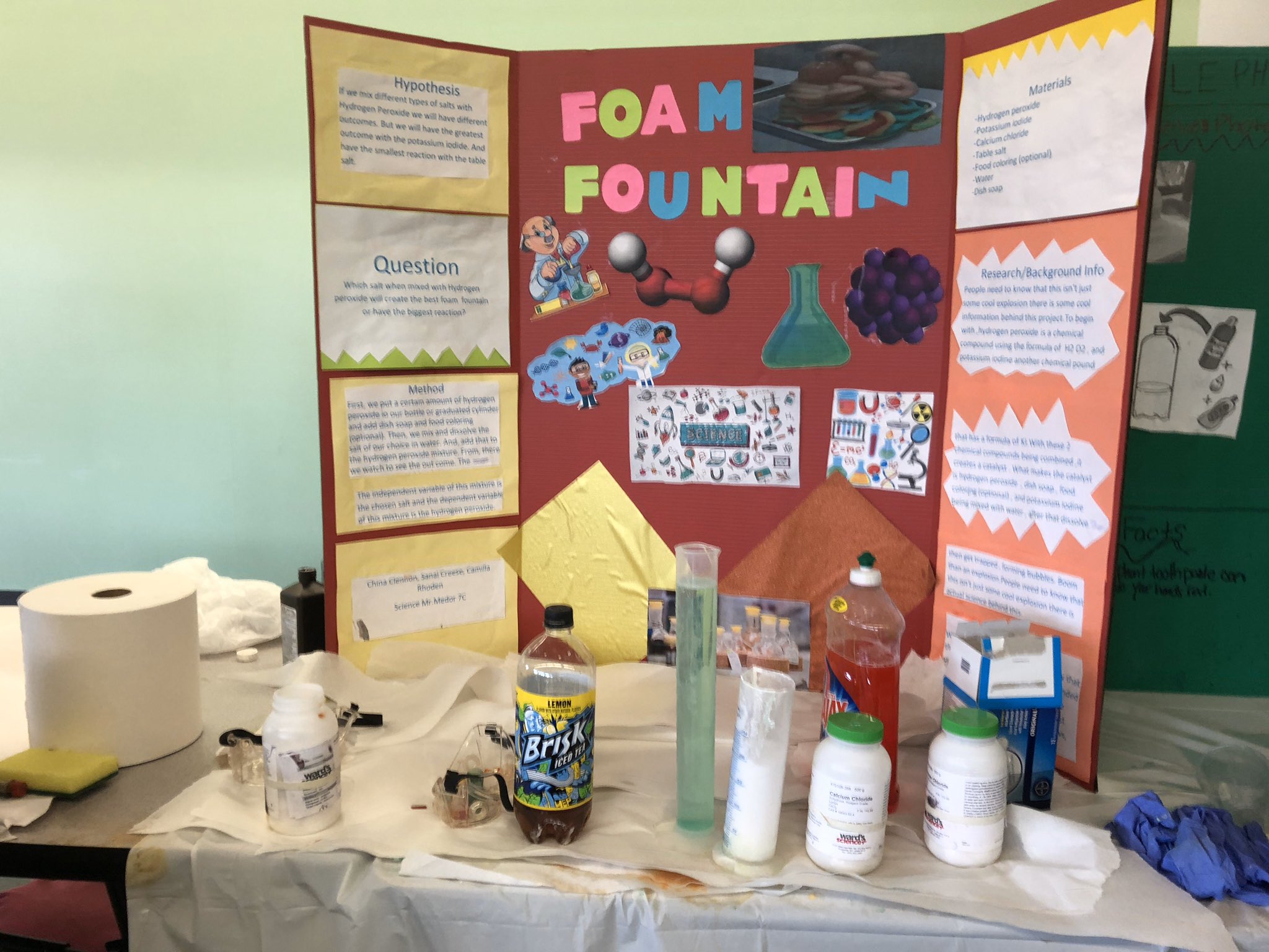 Potassium Model School Project