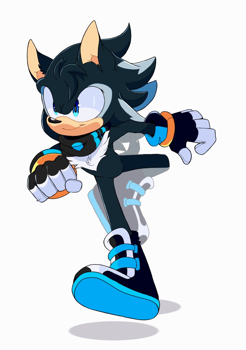 Sombra Y Colorete Sonic