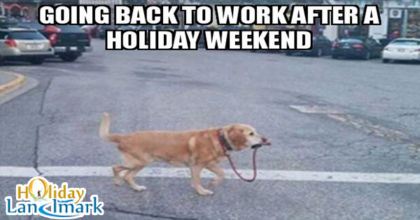 First Day Back To Work After Vacation