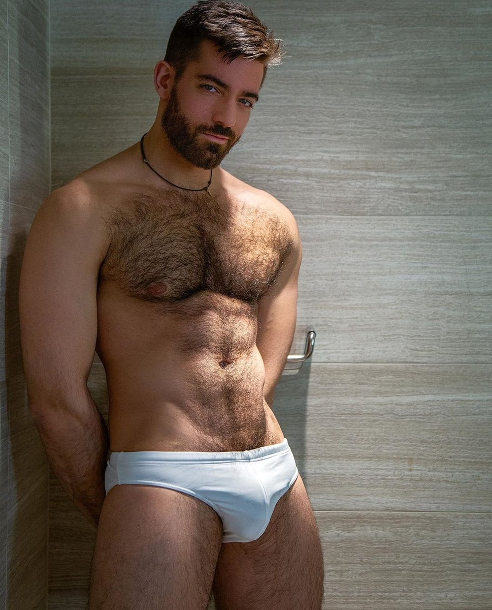 SILVERBACK on Twitter: "#Silverback… https://t.co/Mh7darrVgK"