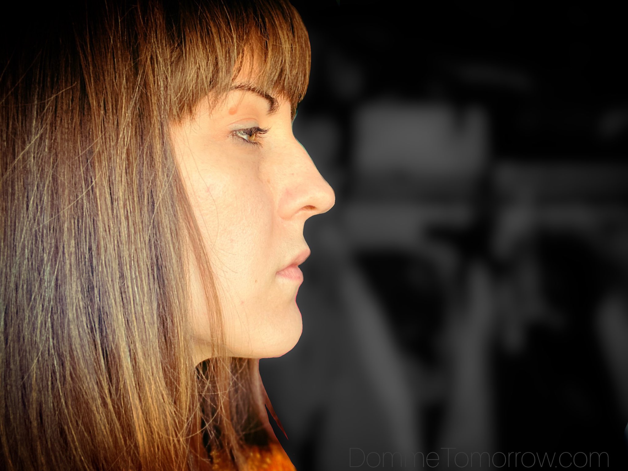 Italian Nose Profile