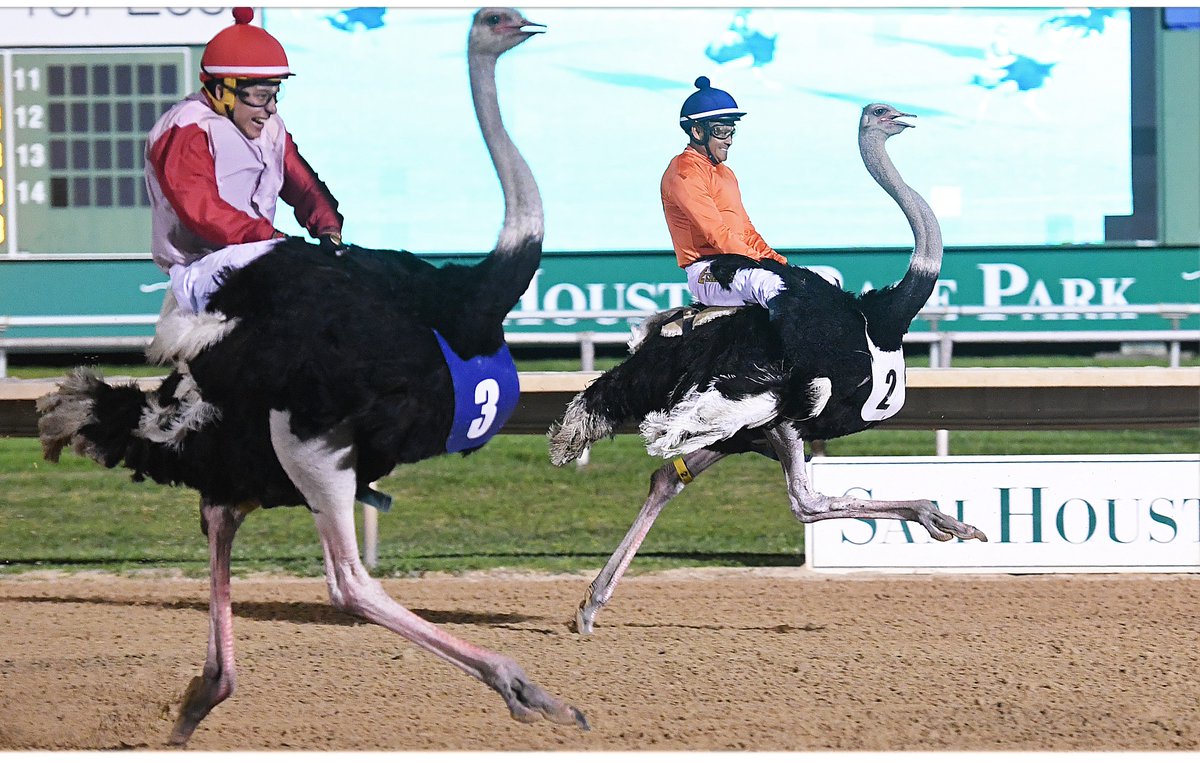 Emu Racing