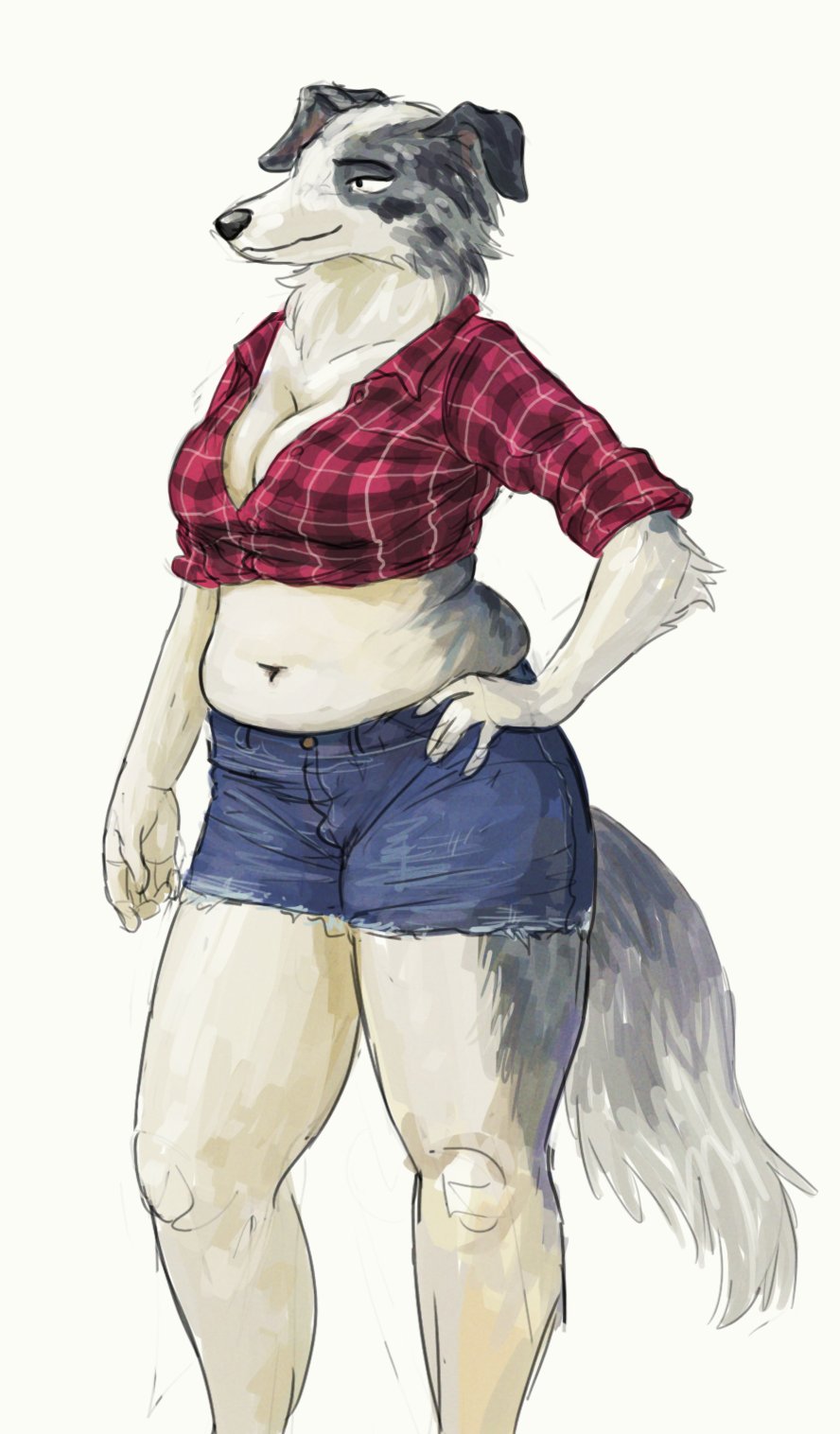 Anthro Border Collie