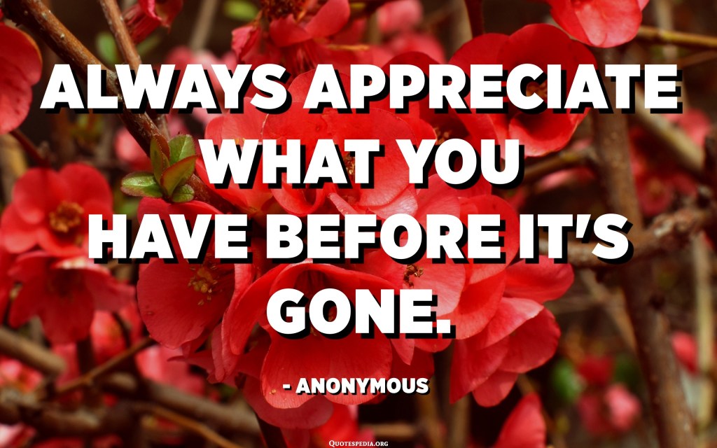 Appreciate What You Have Before Its Gone Quotes