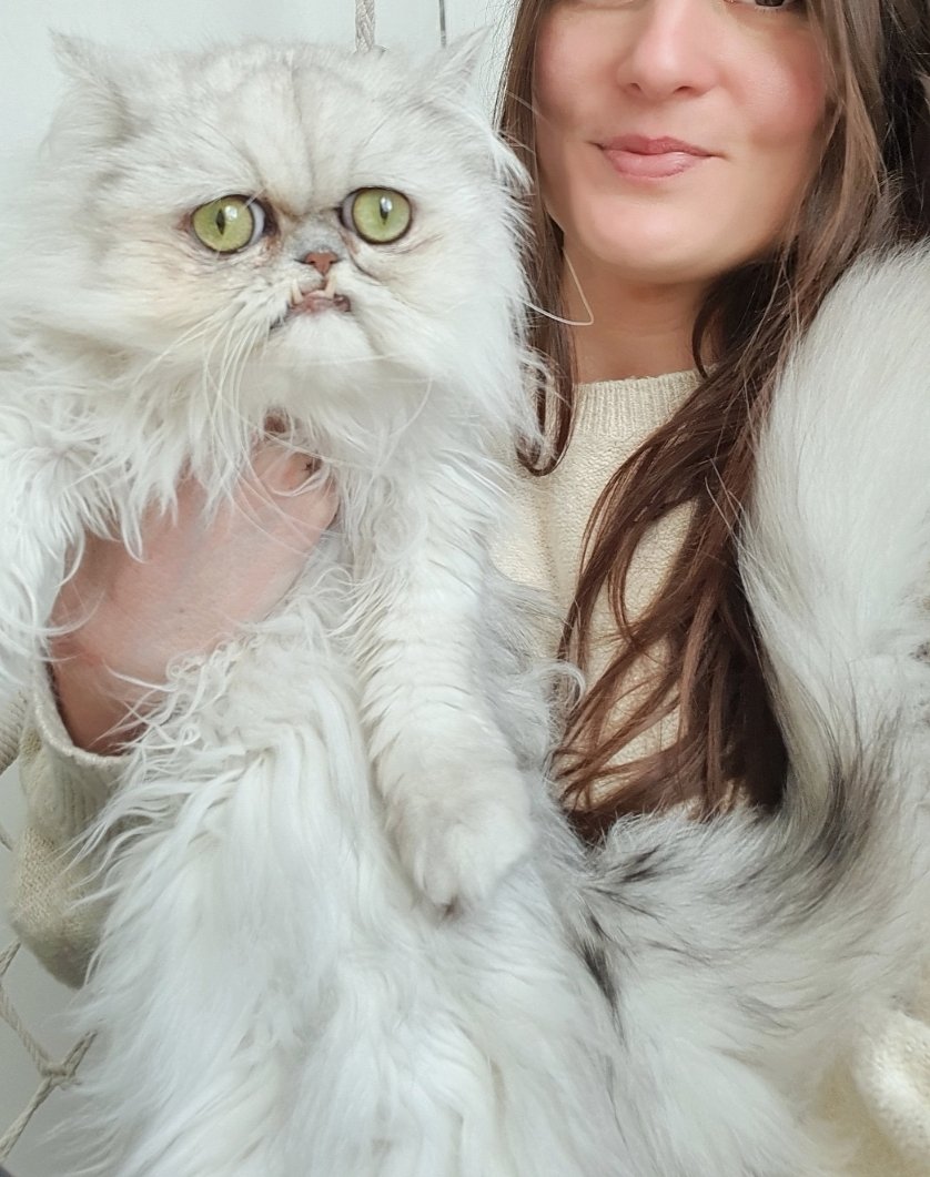 Wilfred Warrior @wilfred_warrior Timeline, The Visualized Twitter ...