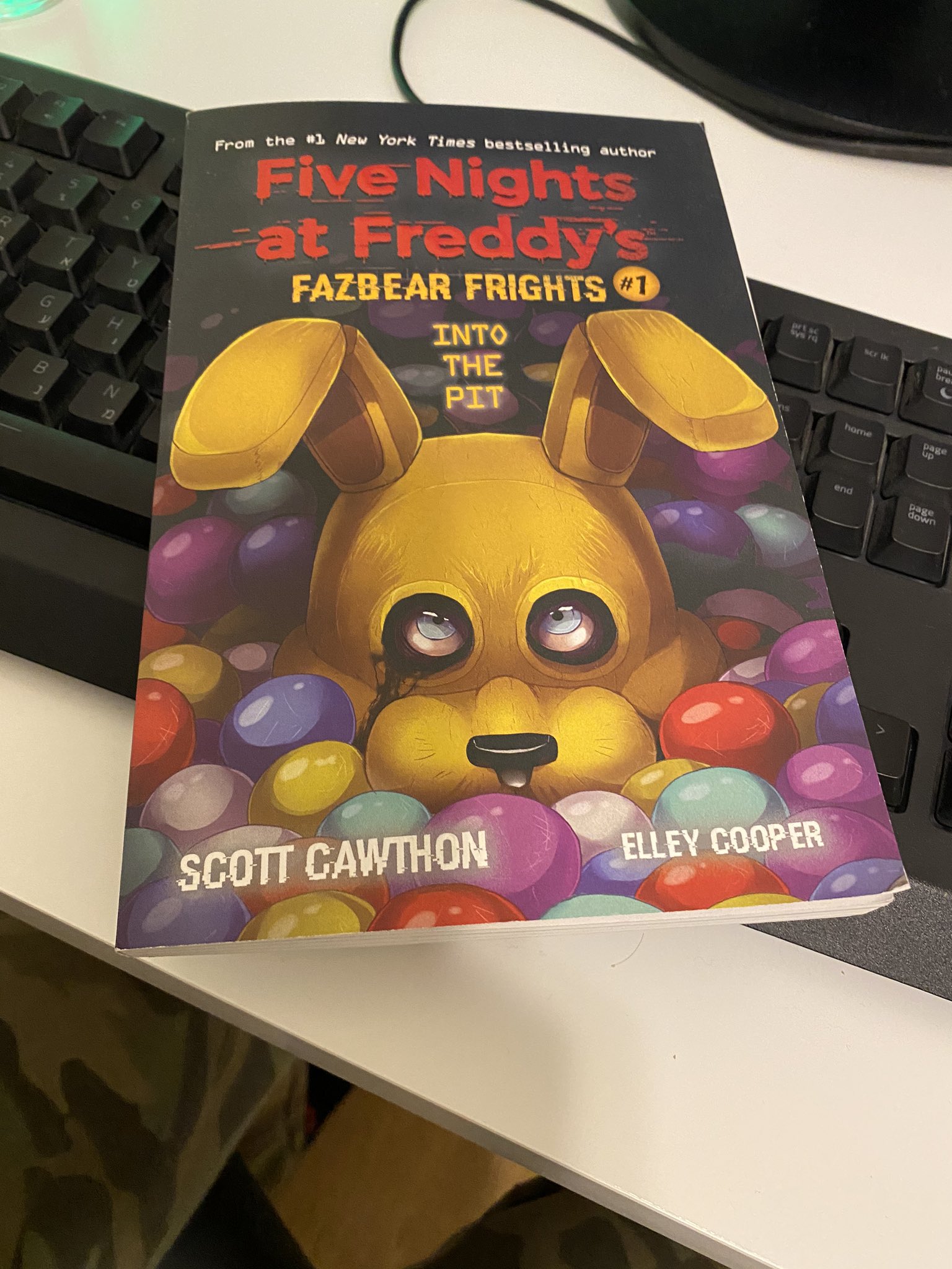 TomerGamerTV on Twitter: "Yess I got the book #fbaf #fbafar #fnafbook…