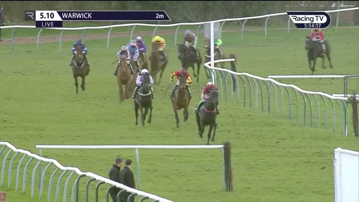 €22,000 purchase Emphatic winning debut A sensational success from Bear ...