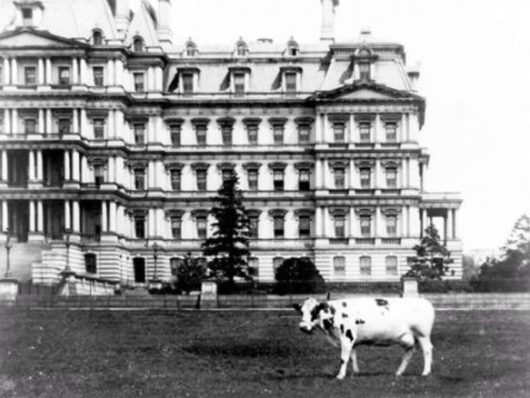 President Taft loved milk so much, he used to keep a cow named Mooley ...