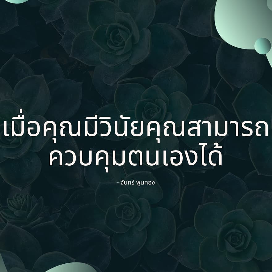 Jan Poonthong Thai (@PoonthongJan) | Twitter