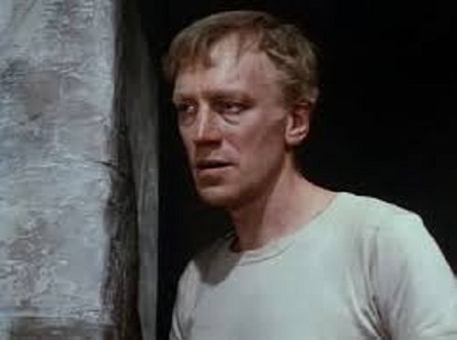 Max Von Sydow Young