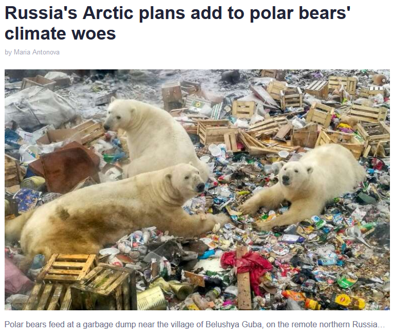 yesdev👻 (@yesaaa_dr) | Twitter