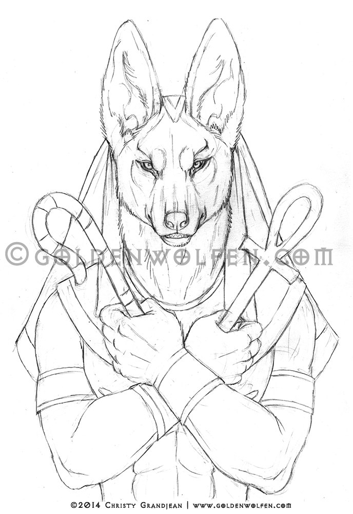 Anubis Face Drawing
