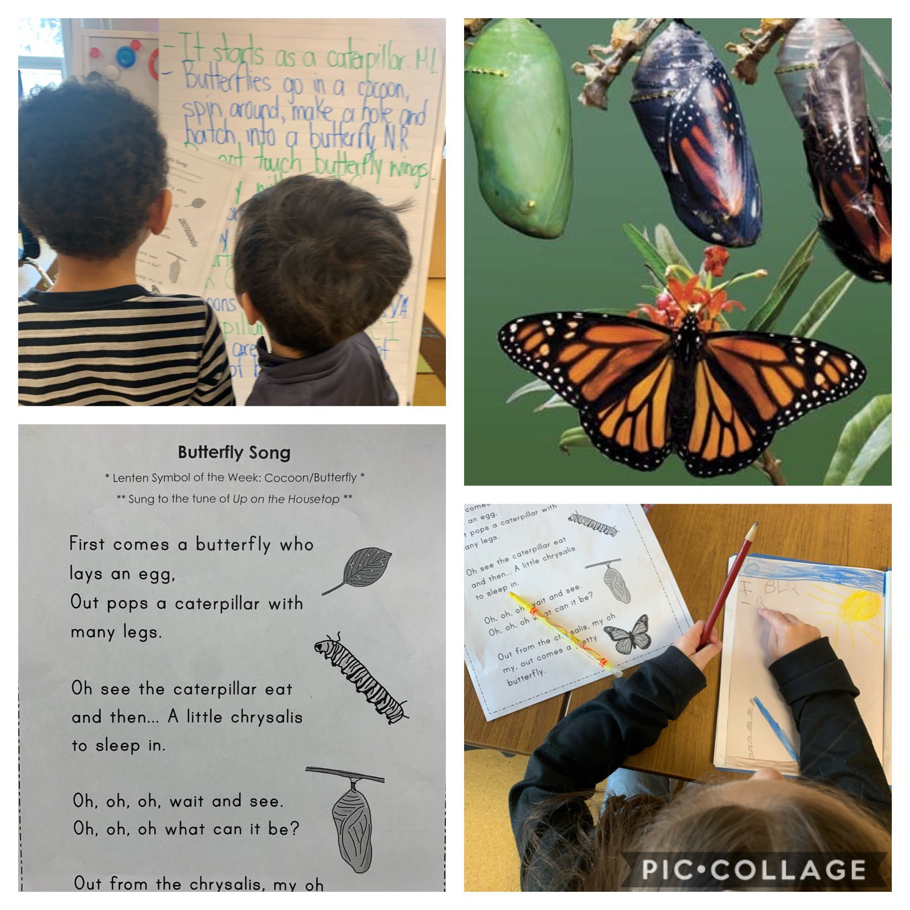 I Am The Resurrection And The Life Butterfly