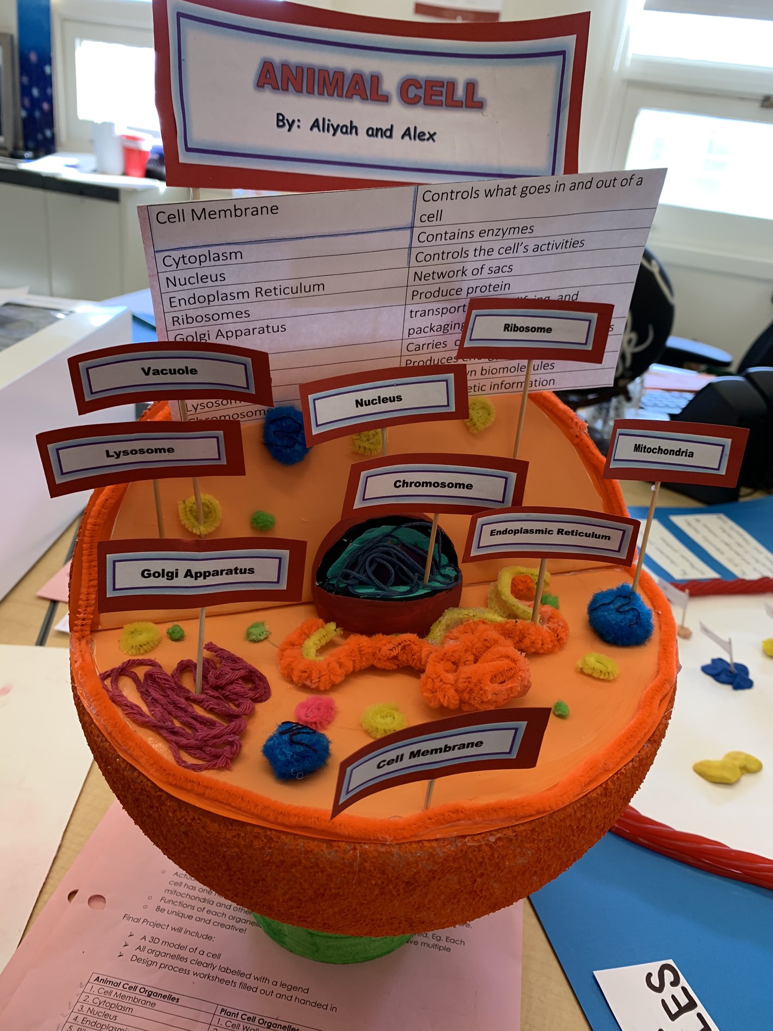 3d Animal Cell Model Project Styrofoam