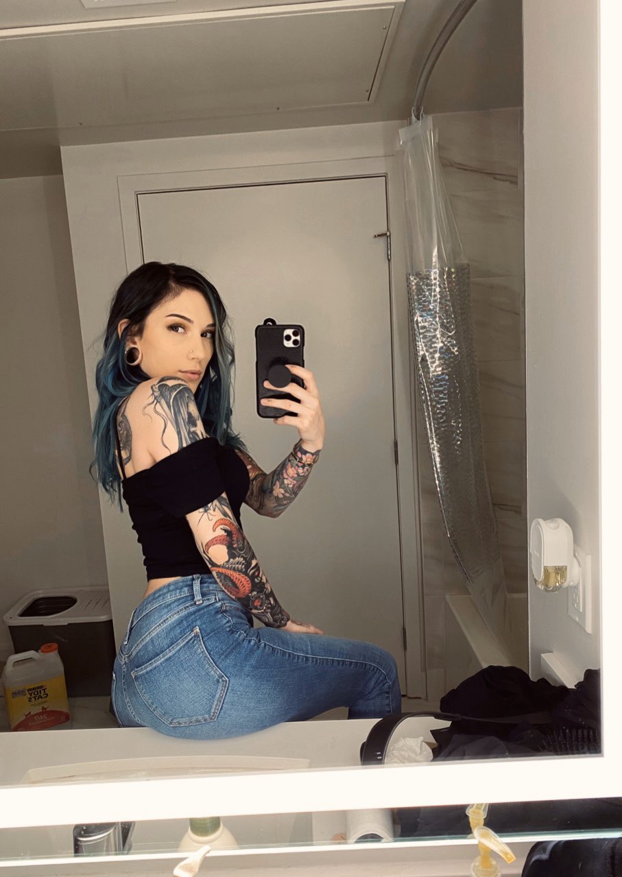 Ptero on Twitter: "Tidy cats https://t.co/pelX9F73DO" / Twitter