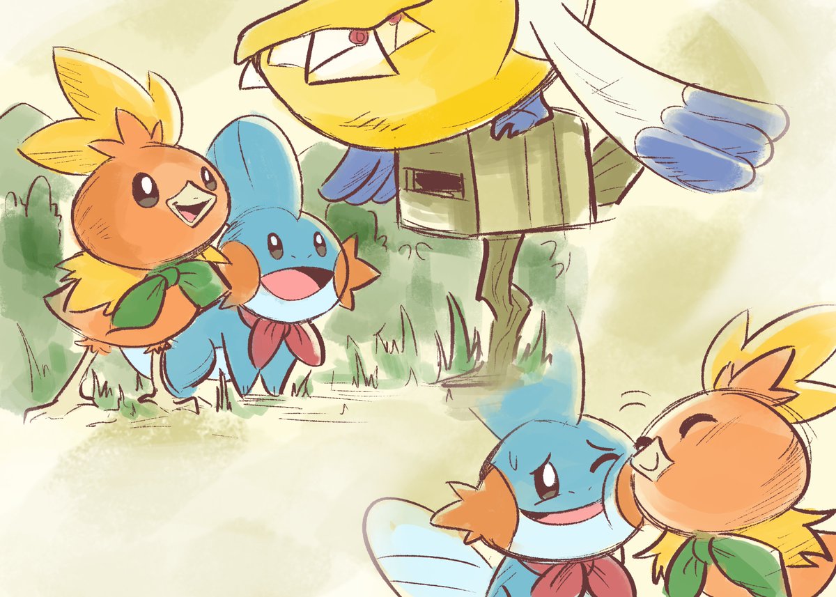 Mudkip And Torchic