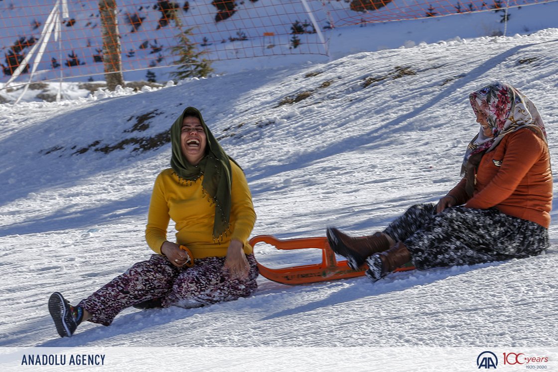 Turkey Sled