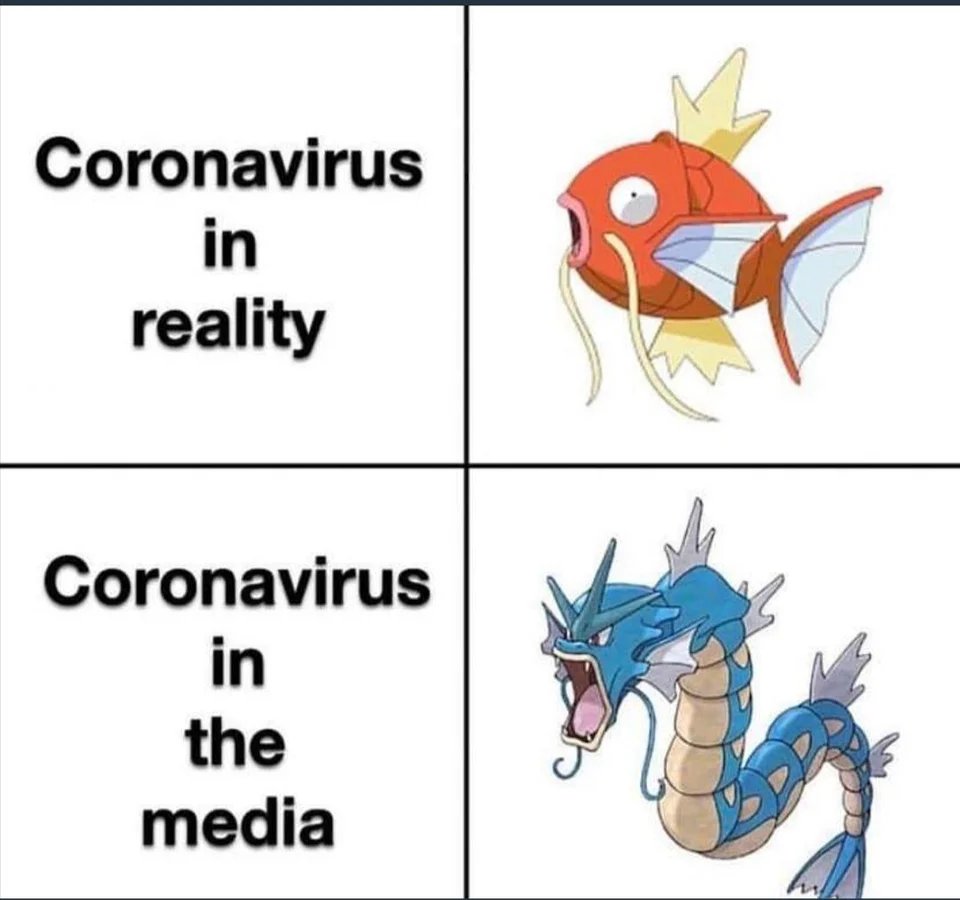Magikarp Meme When I Evolve