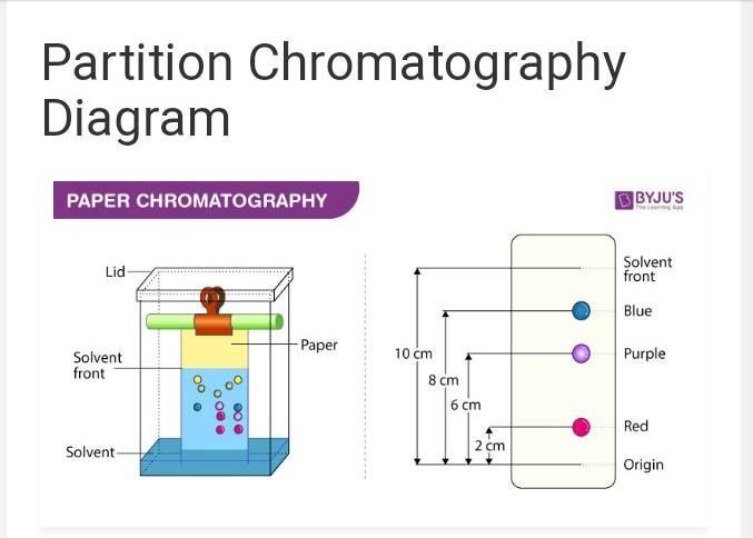 Erwin Chargaff Experiment