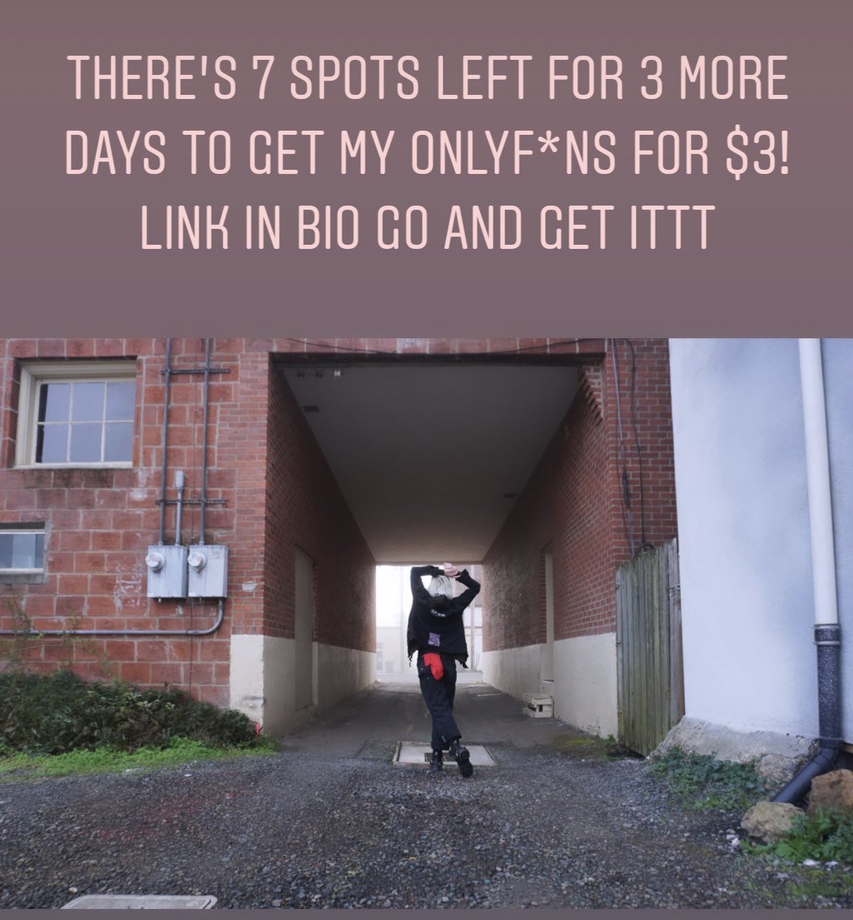 TW Pornstars - JUNIPER CYPRESS FOREST. Twitter. This deal is only ...