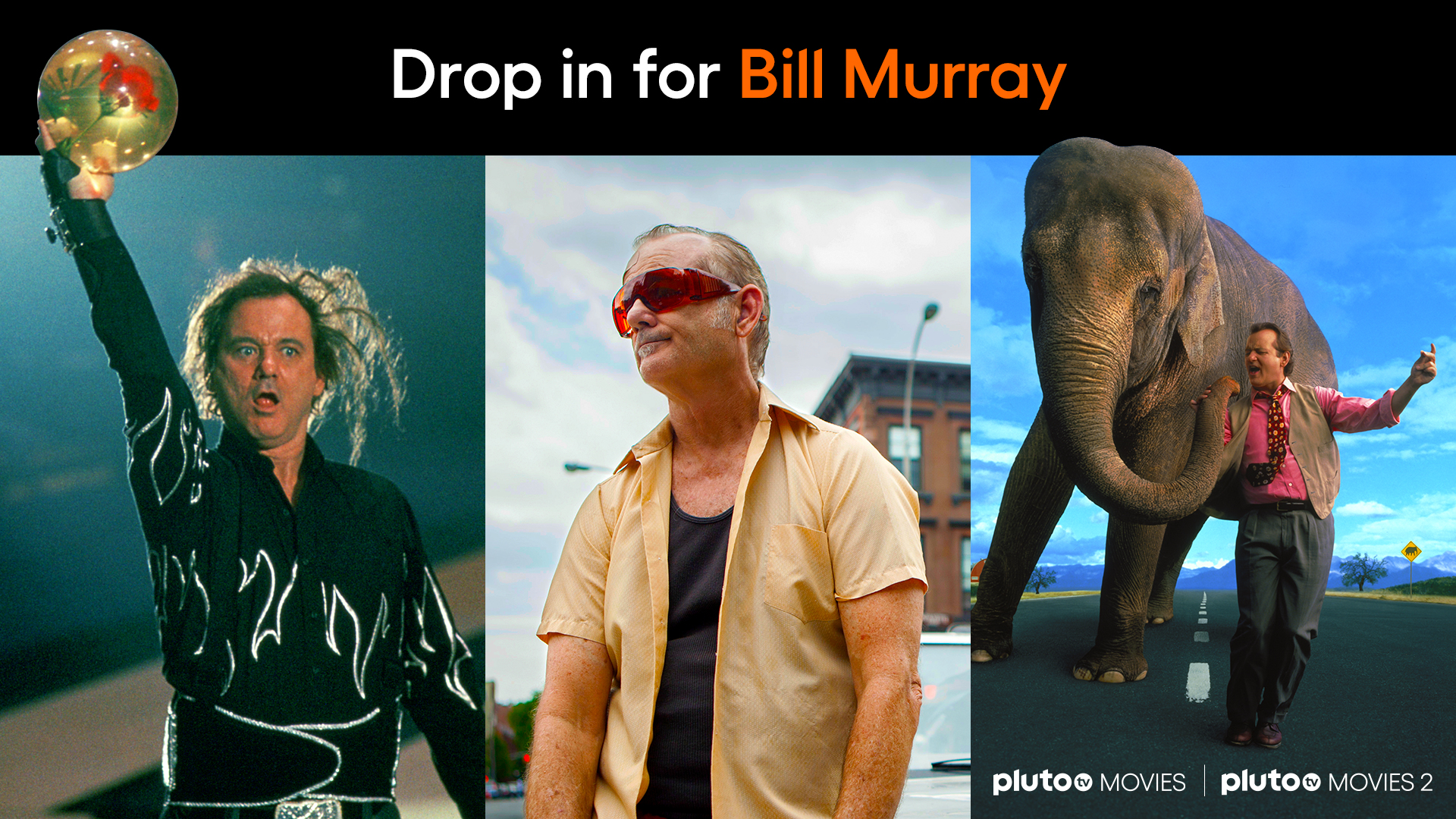 Kingpin Bill Murray Wallpaper