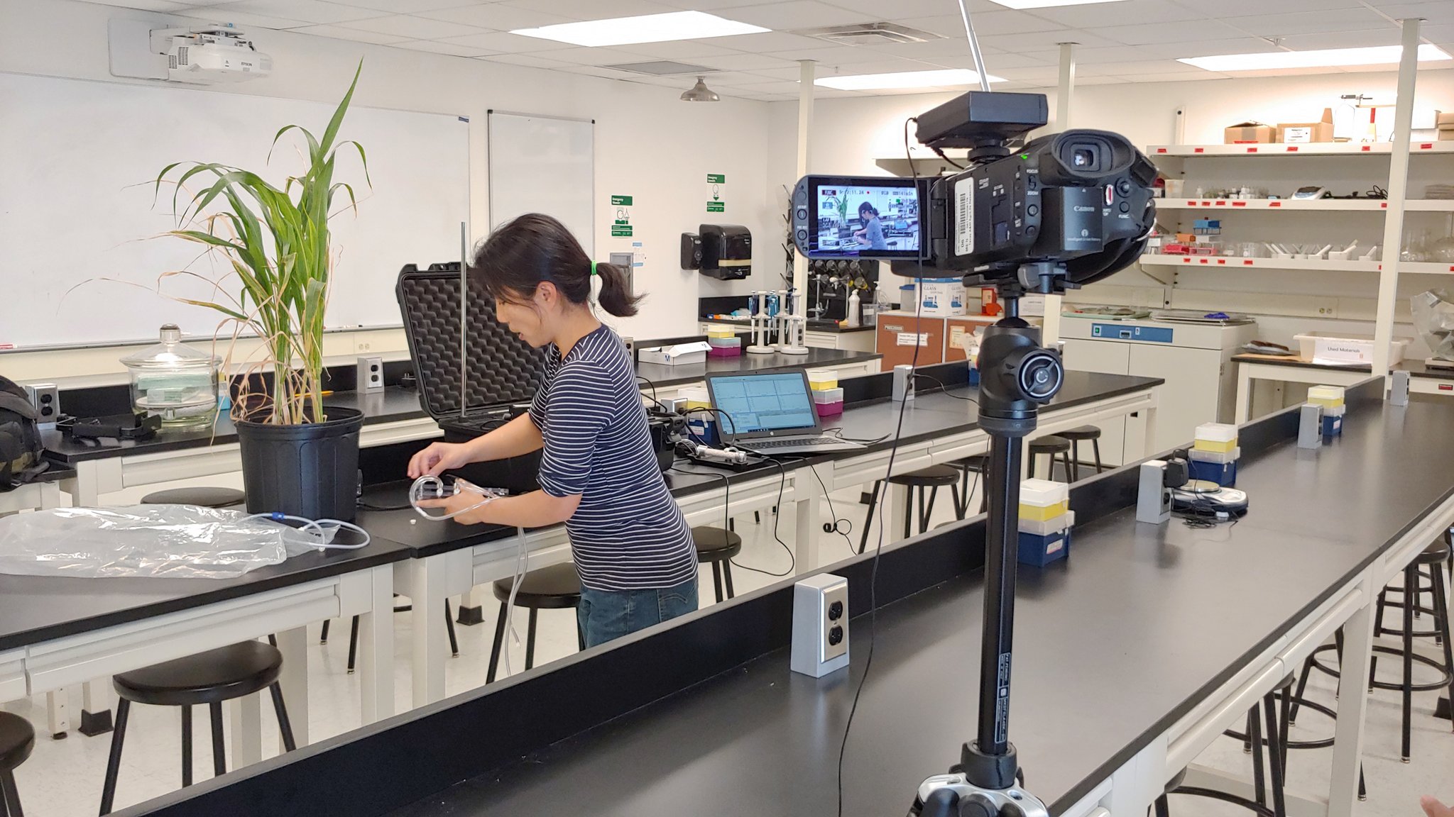 TAMU Department of Soil and Crop Sciences on Twitter: "Adjusting to online classes. # ...