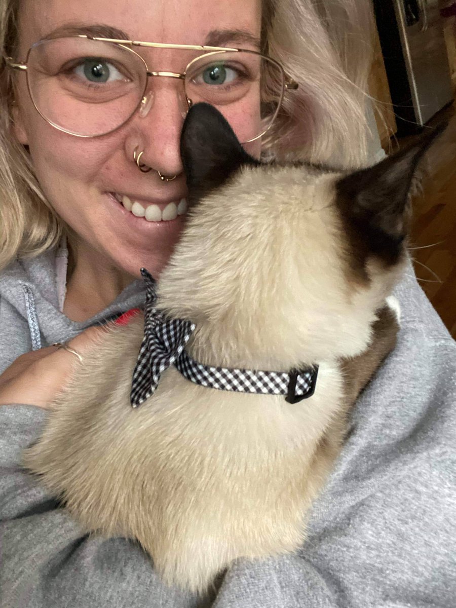 Cricket And Kittens (@CricketKittens) | Twitter