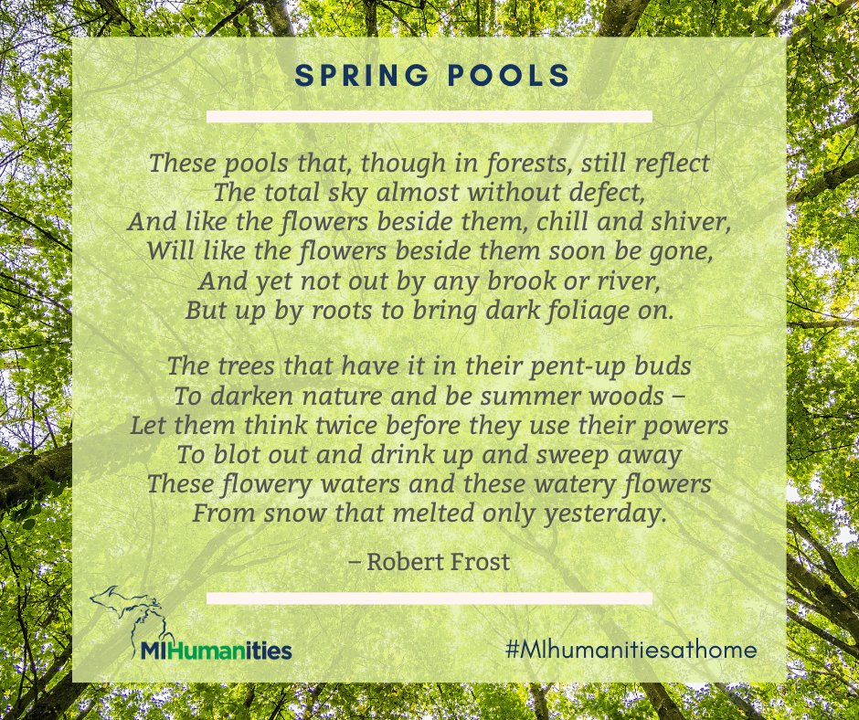 בית סוהר סרטים חתול frost as a nature poet משאבי אנוש כיתה ב להגיש