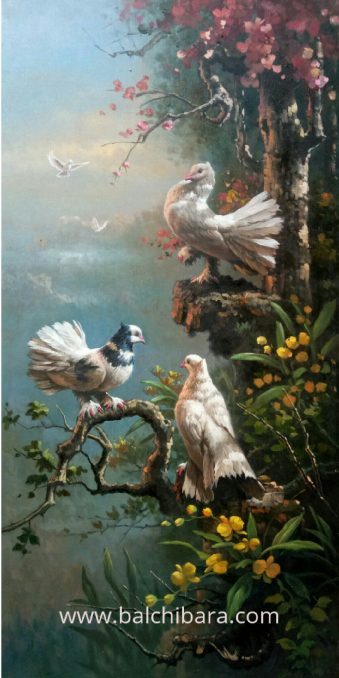 Burung Merpati Kipas