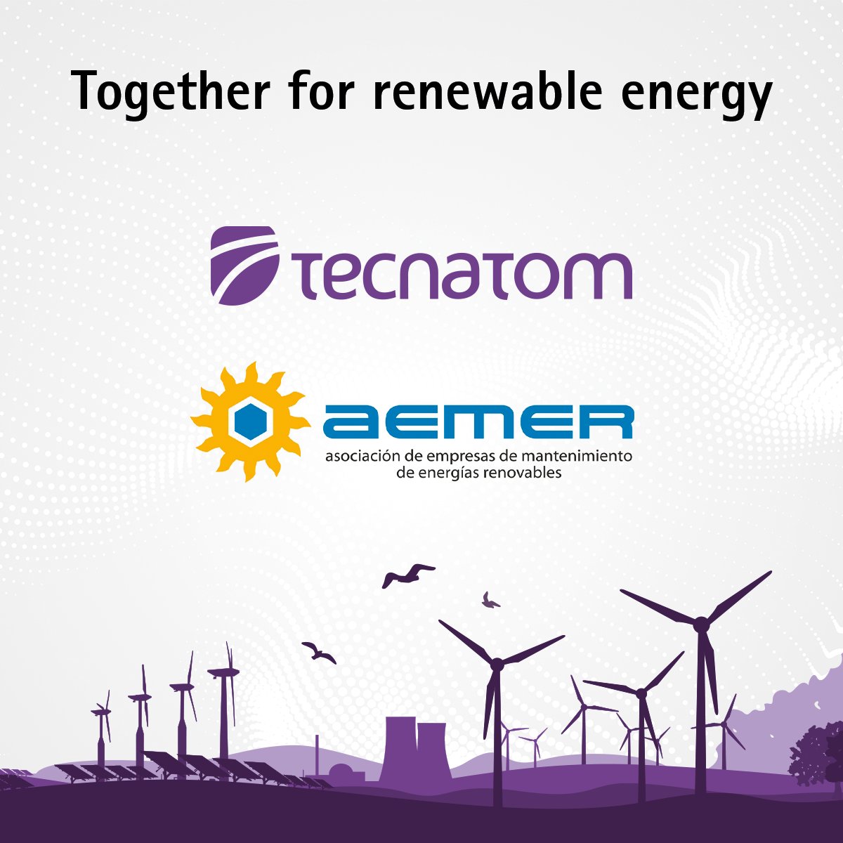 Tecnatom on Twitter: "Tecnatom is pleased to announce that they are joining @AEMER_org a ...