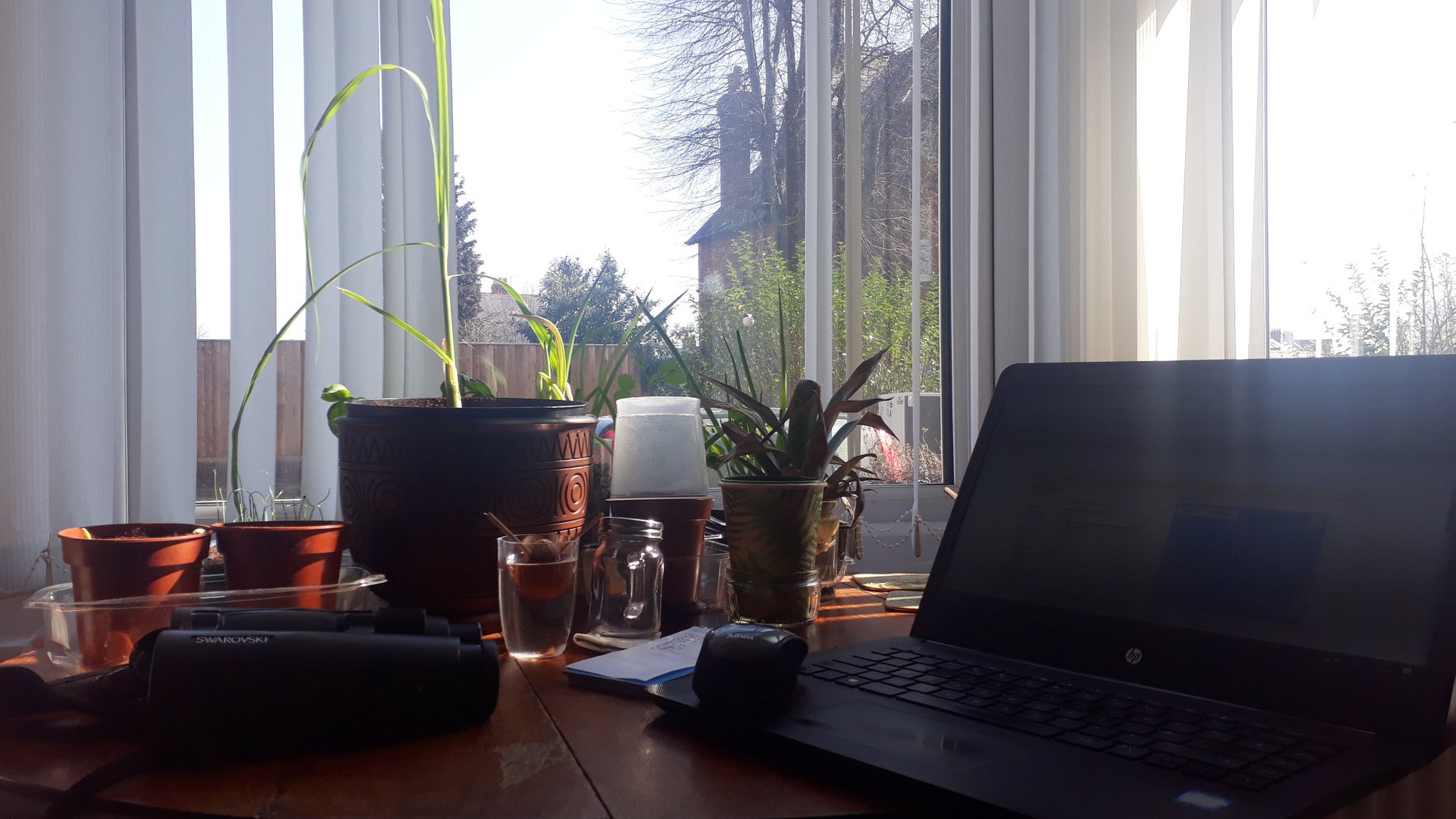 Matt Slaymaker on Twitter: "And Carrion Crow makes it onto the list as number 10! WP, JD, HG, RO ...