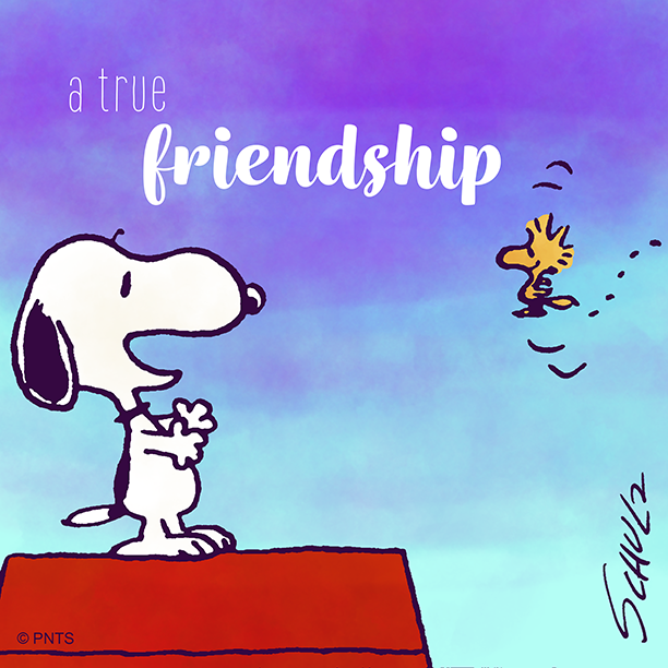 Snoopy Friendship Quotes