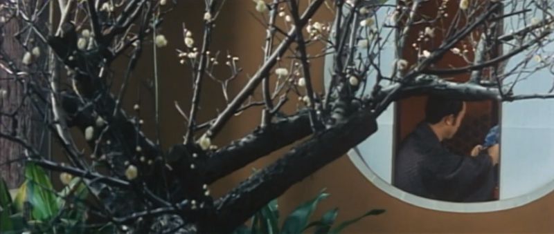 Nat on Twitter: "IREZUMI /刺青 (aka THE SPIDER TATTOO) (1966), dir. Yasuzo Masumura, d.o.p Kazuo ...