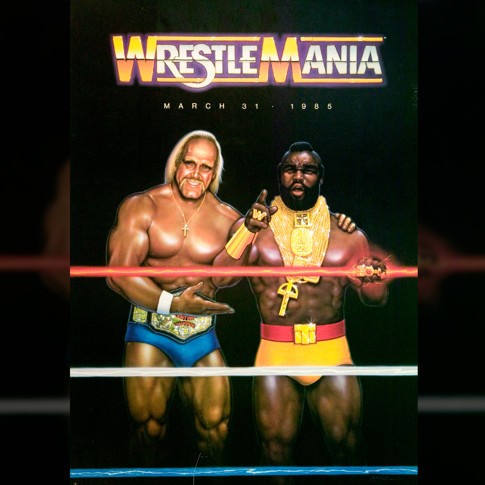 Wrestlemania 24 Poster