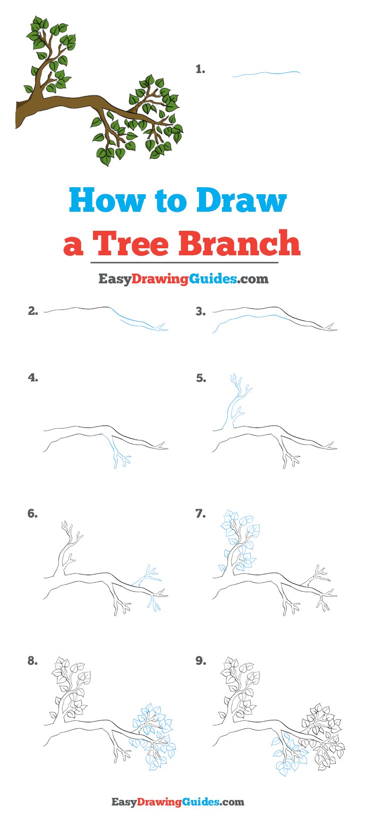 Simple Tree Branch Drawing